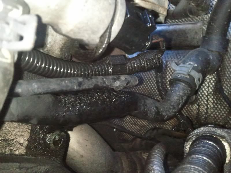 Coolant Temp Sensor Replacement | Page 3 | TDIClub Forums