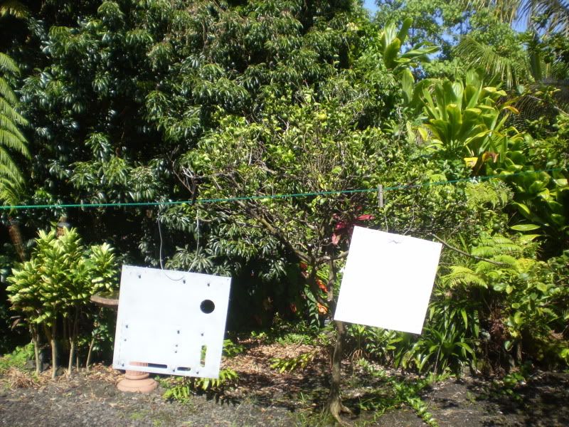 [Complete]Generic Simple Techbench | Overclock.net