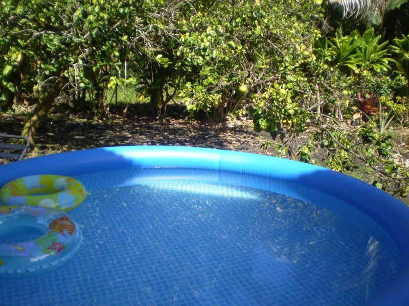 [Complete]Generic Simple Techbench | Overclock.net