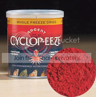 VENDO ALIMENTADOR, BOMBA, RAÇÃO, SAL, HQI, T5 E OUTROS - Brasil Reef ...