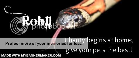 Carpalls (Carpet x Ball Python) | Reptile Forums