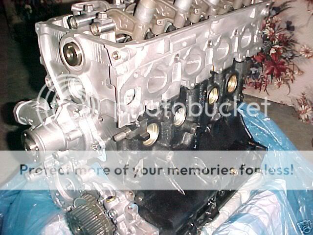 All Categories - surebertyl