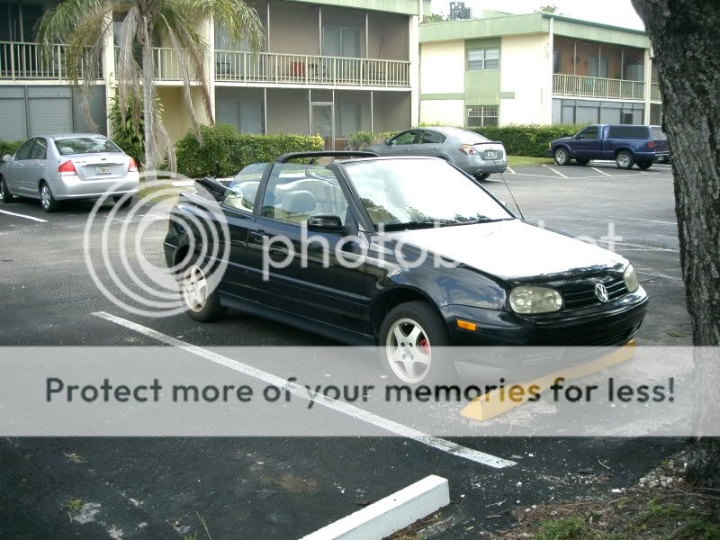 99 mk3.5 cabrio in south florida | VW Vortex - Volkswagen Forum