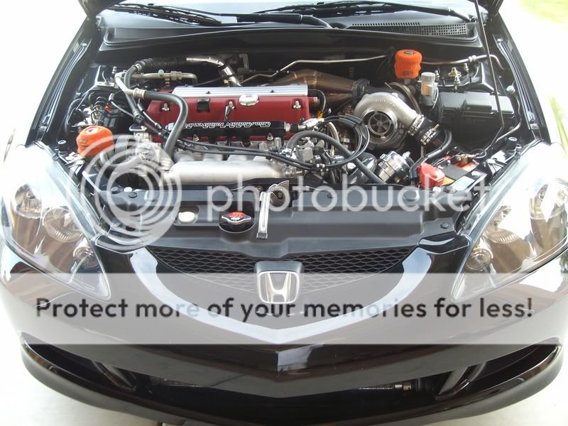 Show Us Your Engine Bay Thread! | Page 16 | Acura RSX, ILX and Honda ...