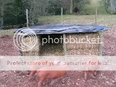 Architecture of a Pig Sty...